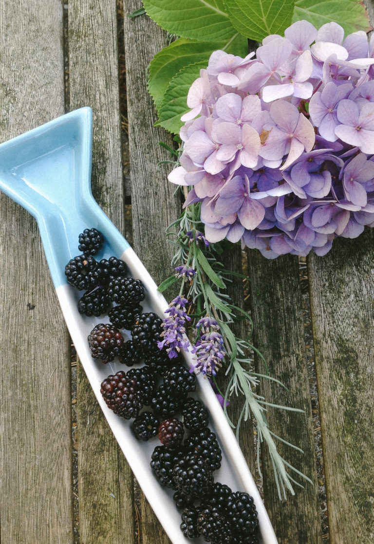 All the Good Things: Blackberry Forage – SURF SISTAS