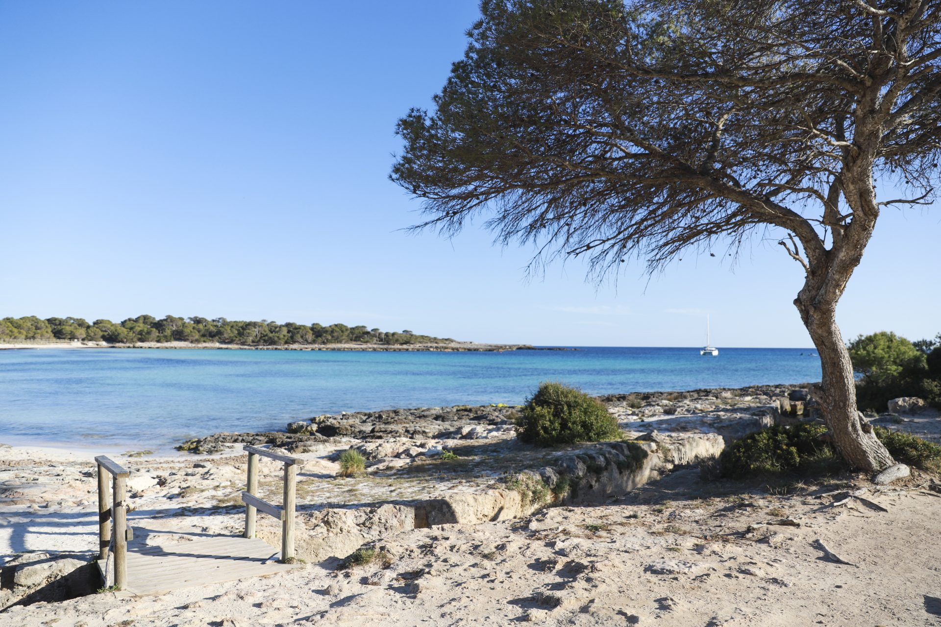 Wild Swim Menorca Retreat – SURF SISTAS